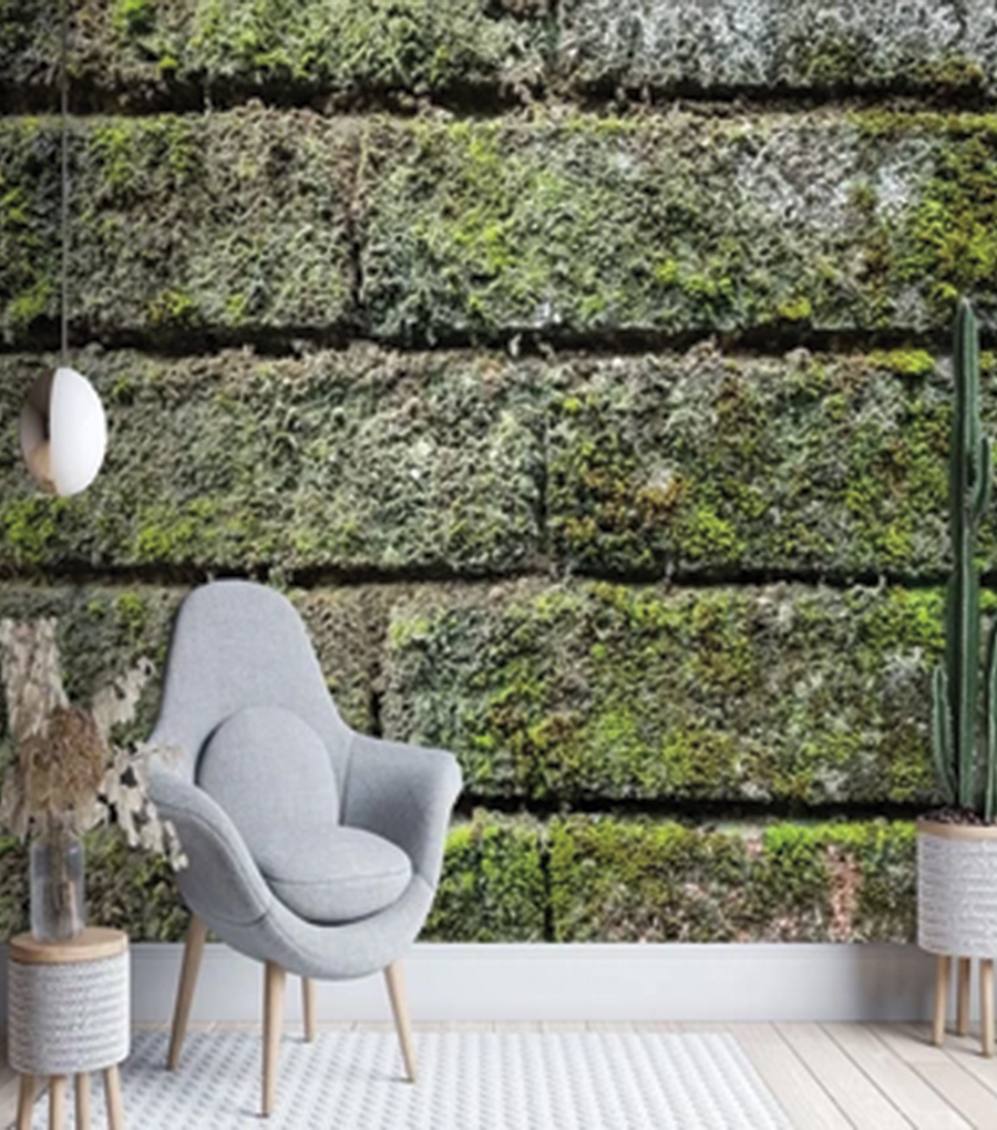 Wall decals - EarcIn