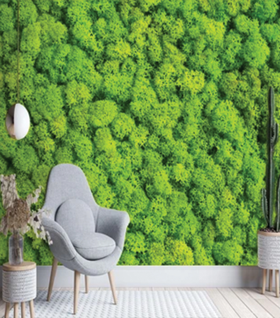 Wall decals - EarcIn