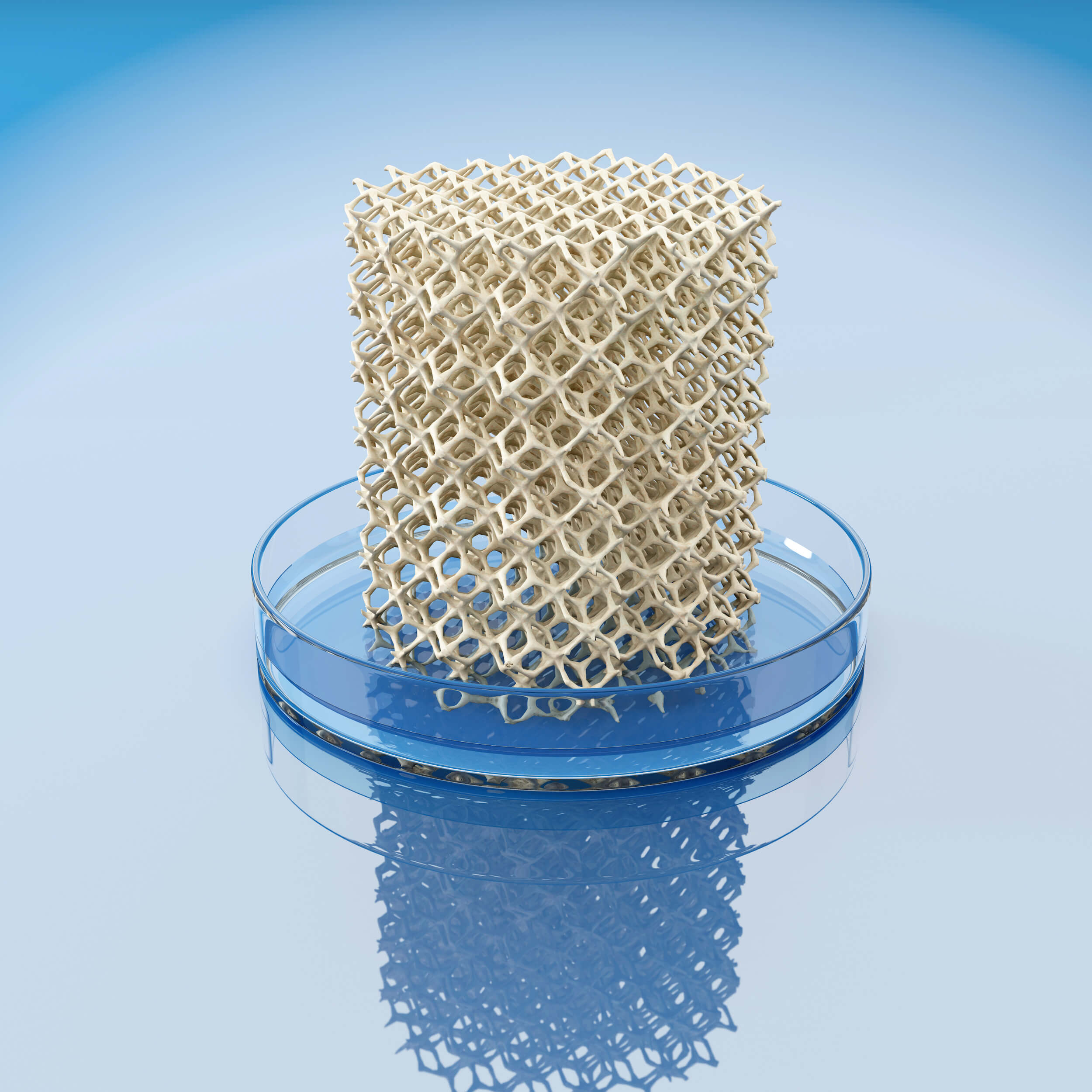 3D Printing Bangalore - EarcIn